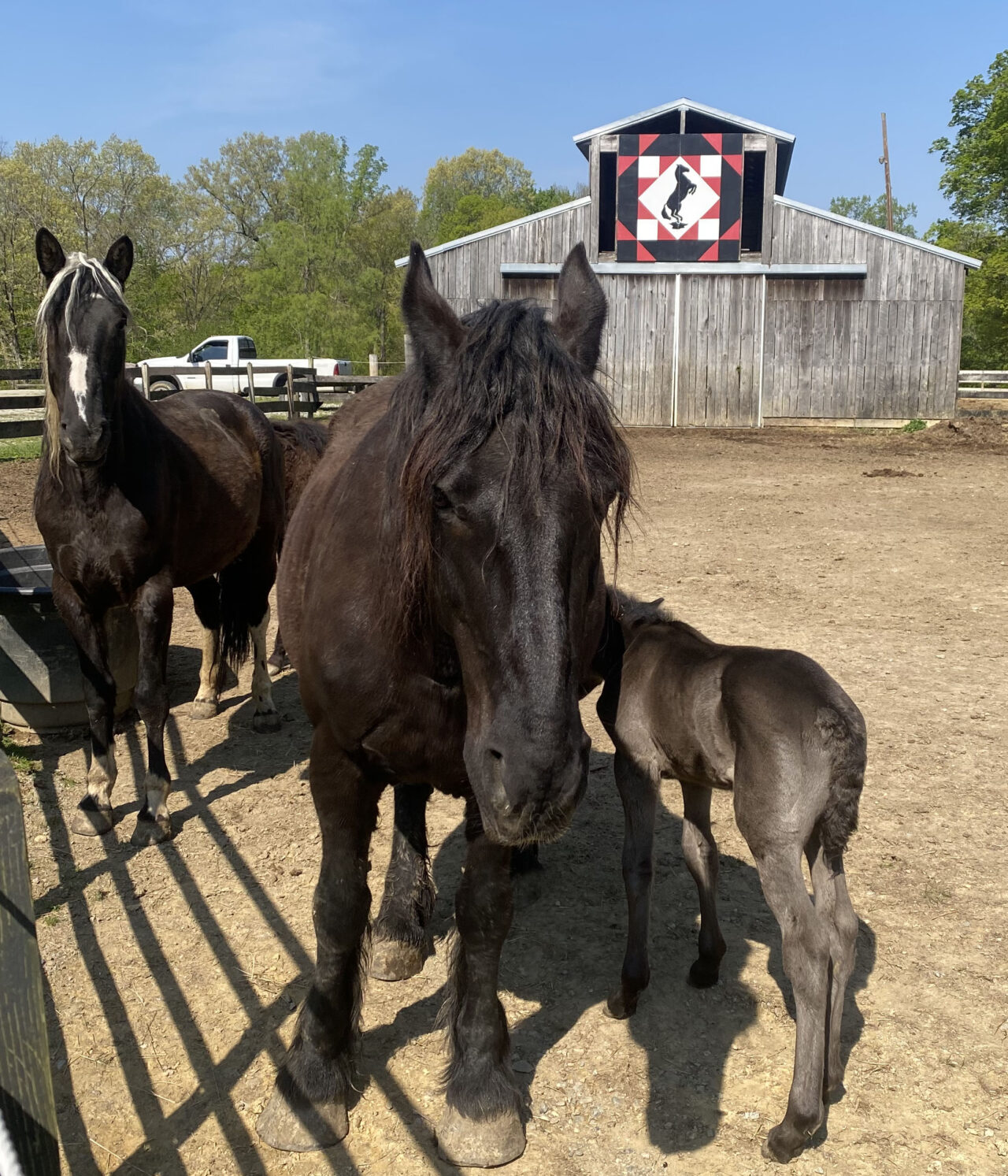 Uncle Buck's Riding Stable and Dance Barn | Athens County Visitors Bureau